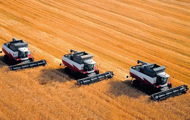 Cereals Processing Chains | John King Chains