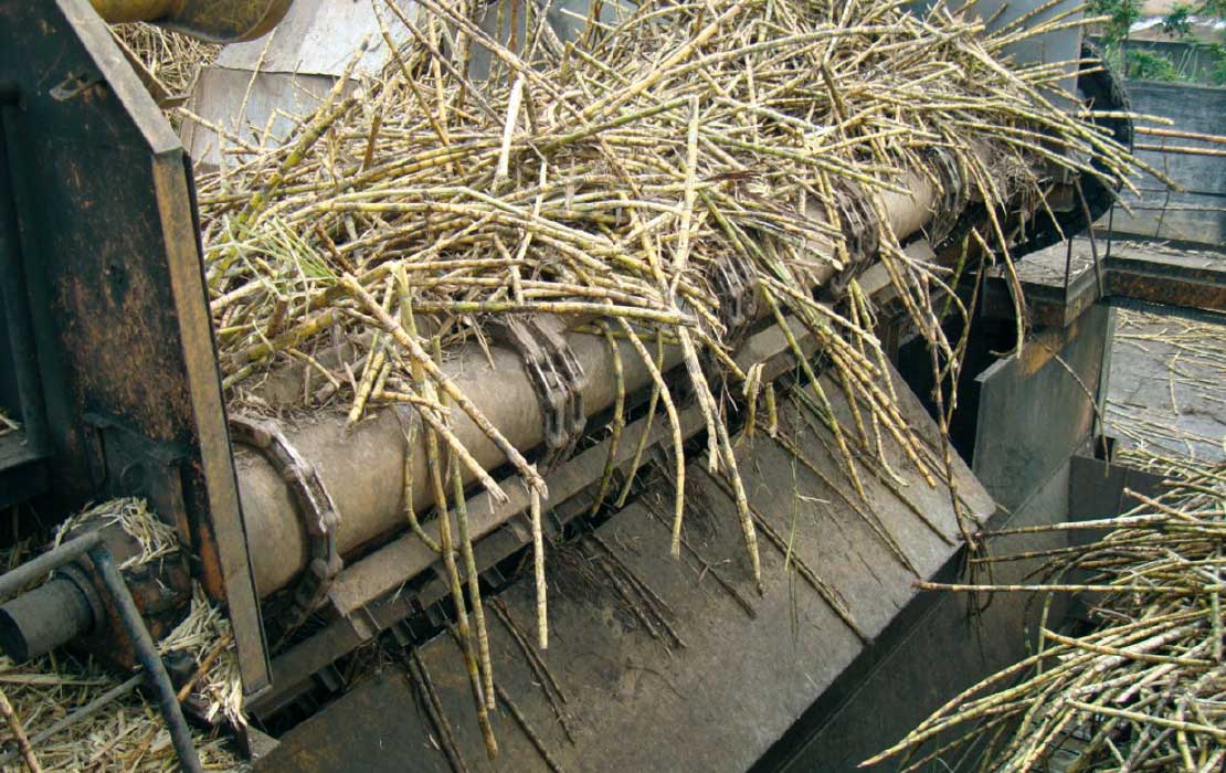 Drop Forged Chains for Feed and Washing Tables | John King Chains